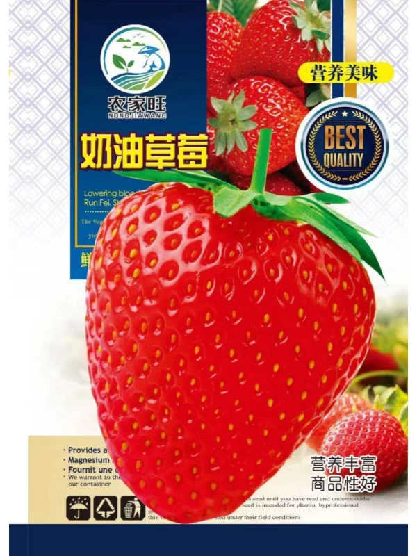 Chinese Strawberry Seeds | Pot/Bed Friendly | Sweet, Juicy – TreeValley
